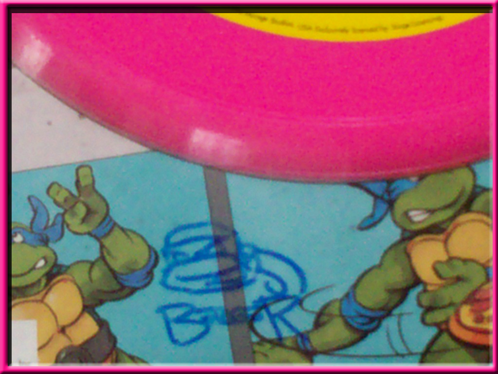 20 Years Before 2000: Autographed TMNT Flying Disc!