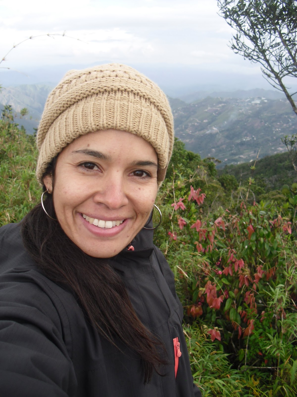 Andando por Venezuela: Pico Codazzi