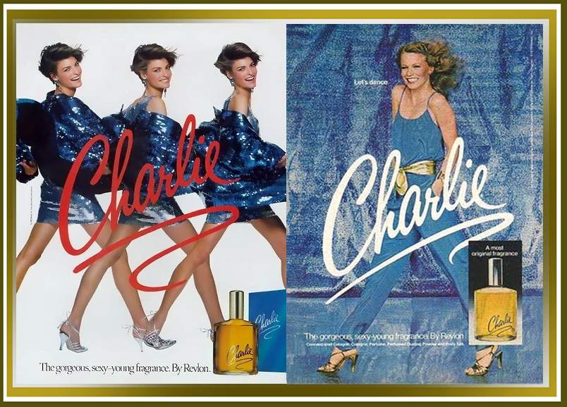 ShelleyHack: The Charlie Girls