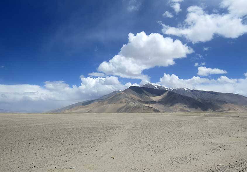 Just About Everything: Birds, Mammals, and Landscapes from the scenic ...