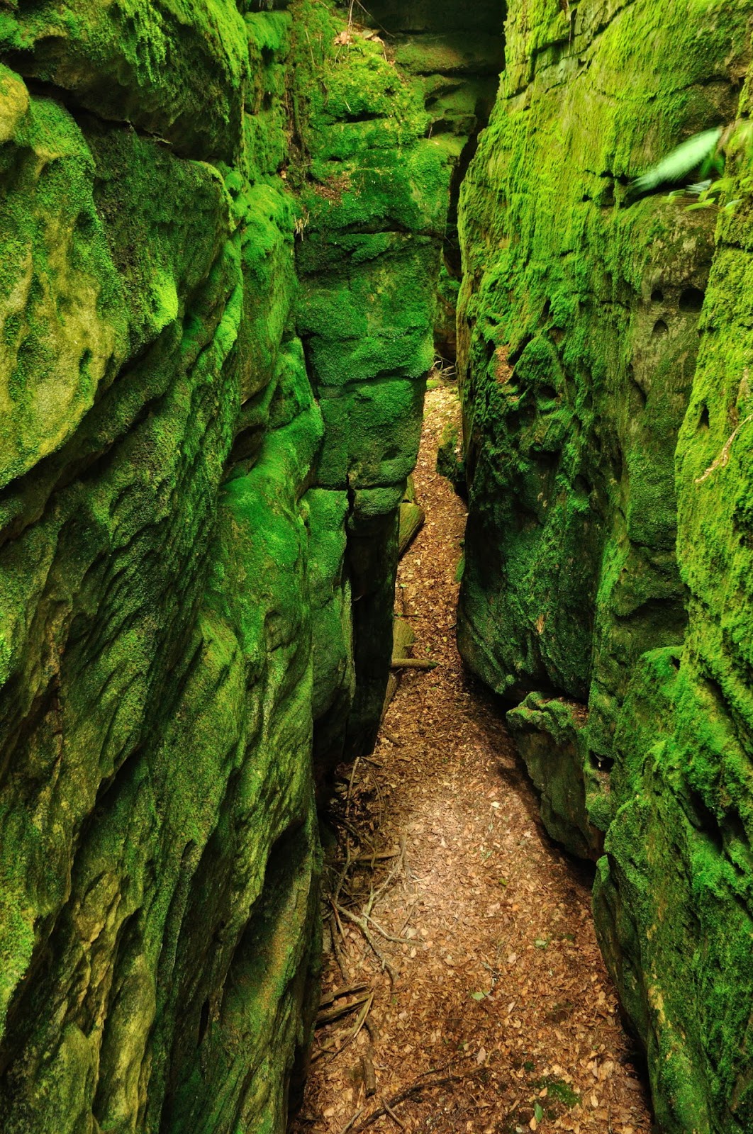 Discover West Virginia: Beartown Rocks! How They Got That Way