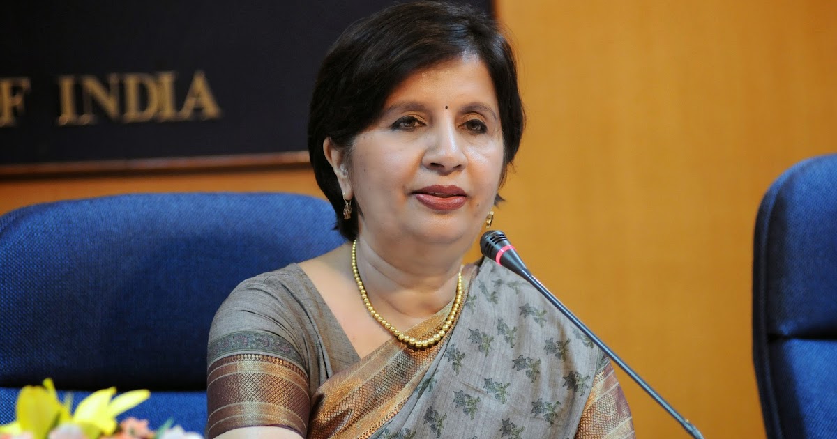 India Public Sector: Former foreign secy Nirupama Rao pitches for ...