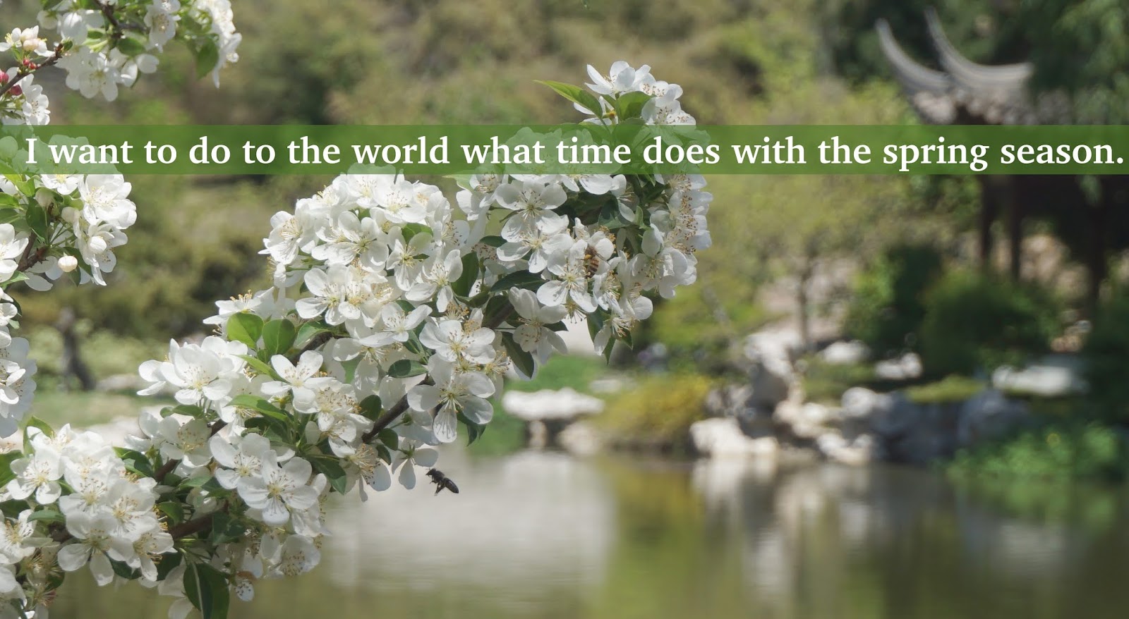 What a Spring in my life!