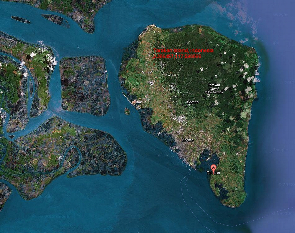 Affnan's Aquaponics: Tarakan Indonesia