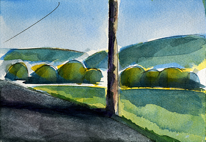 The Art of Bruce: Route 215 Poled