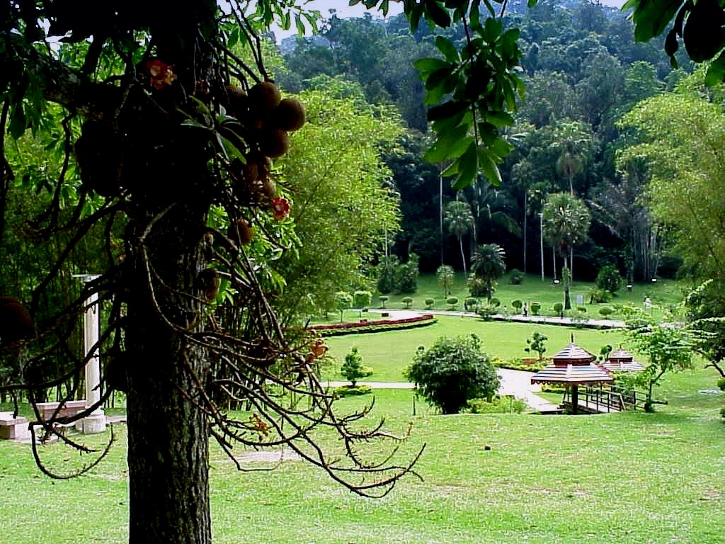 Taman Botani Pulau Pinang ~ You & i Homestay