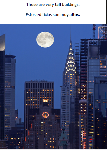 El blog para aprender inglés: Diferencias entre "high" "height" y "tall"