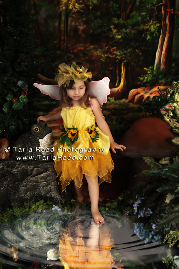 Taria Reed Photography