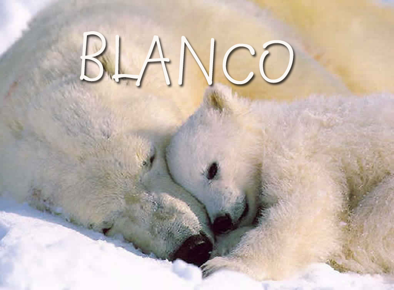 RECURSOS y ACTIVIDADES para Educación Infantil: COLOR BLANCO