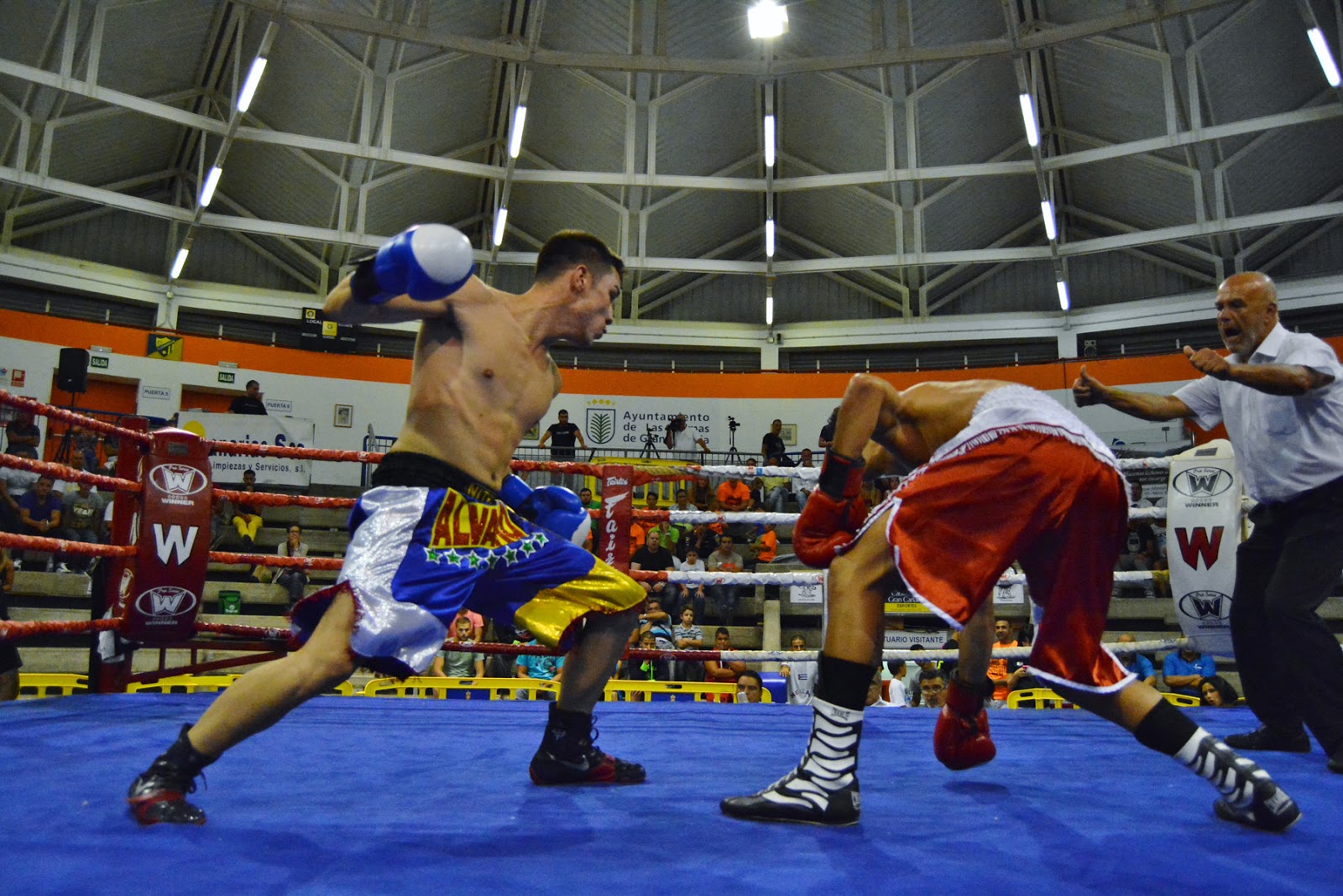 DOCE ONZAS: CRONICA DEL WARRIOR GLOVES , LA GALLERA DEL LOPEZ SOCAS, 02 ...