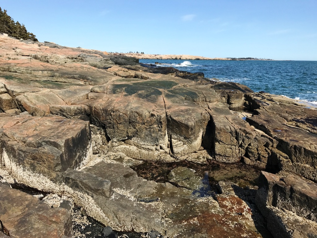 The Switchel Traveler: Schoodic Peninsula