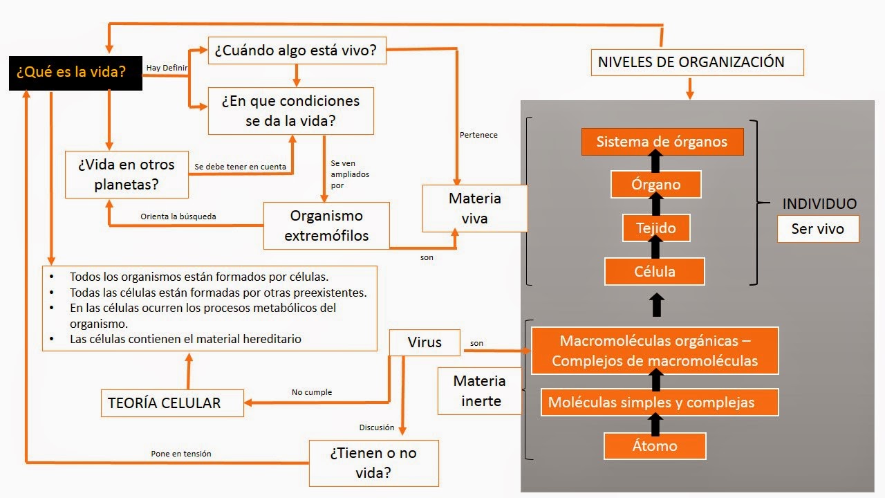 Verónica Vargas: ¿Qué es la vida?