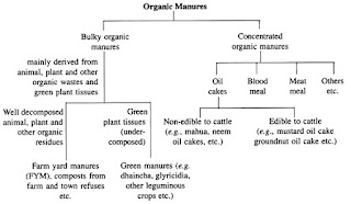 Organic manures and its classification - ALL ABOUT AGRICULTURE