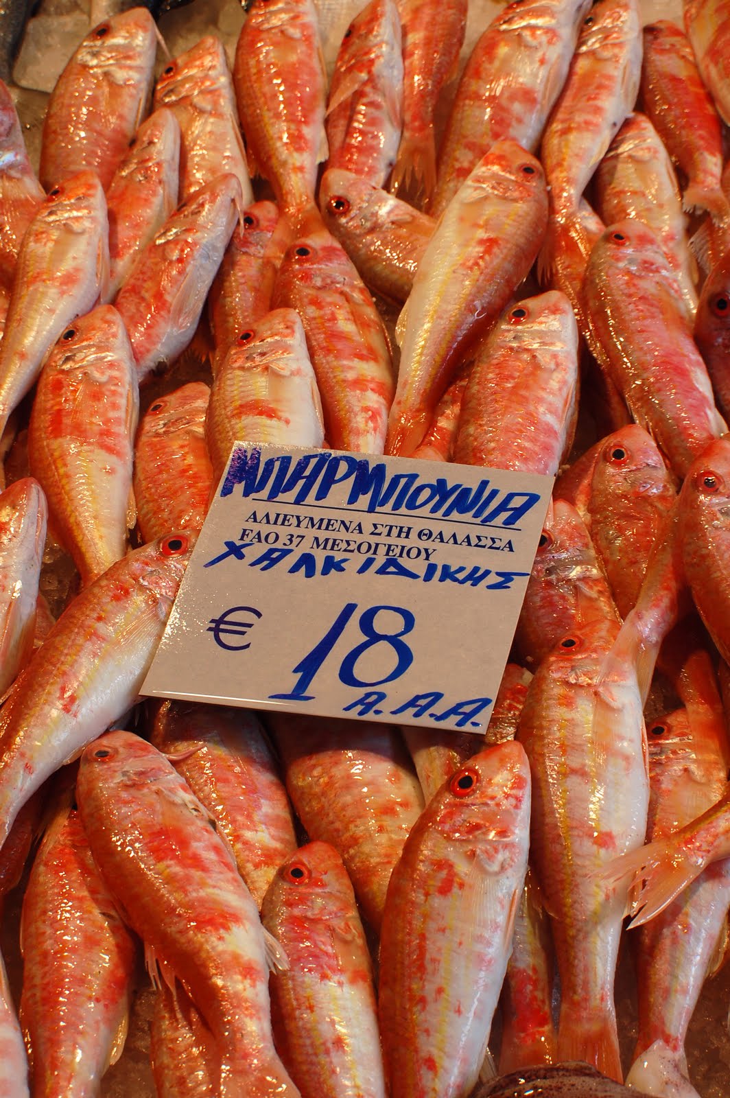 Food Writing on Thasos: Barbounia (a.k.a. red mullet), the sweetest ...