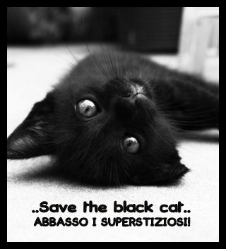 SADIE & GEN: In Praise of Black Cats