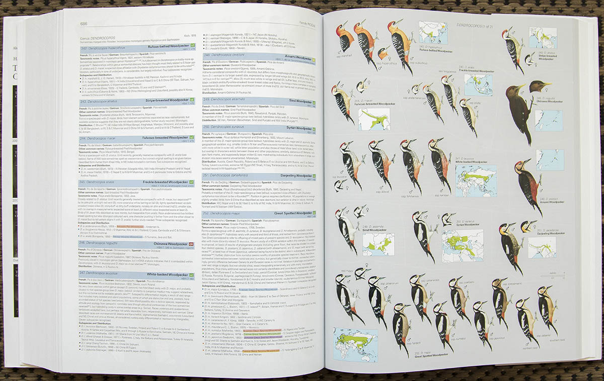 Utgångspunkt 63° 31,x' N - 22° 31,x' O: HBW and BirdLife International ...