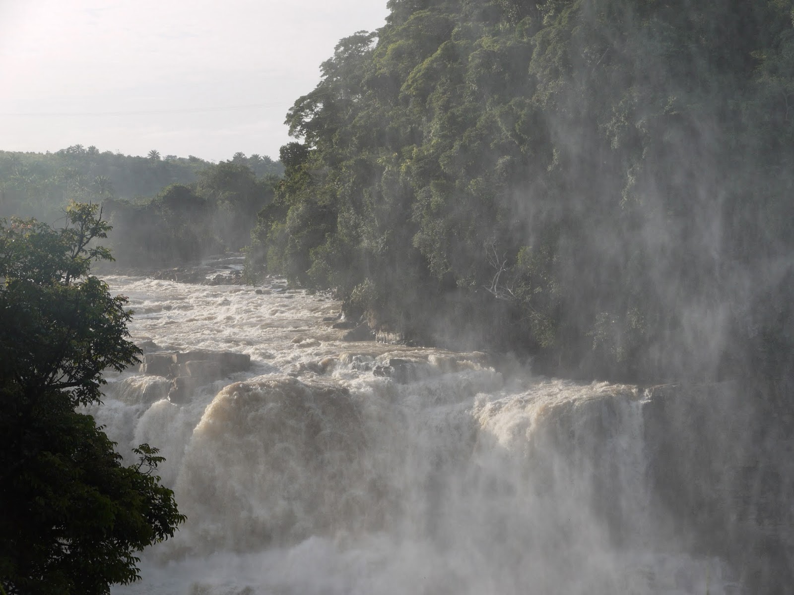 La mapasa familia à Kinshasa: Zongo I : Les chutes