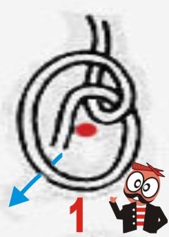 Reng Mdureh: Membuat Simpul Tiang Berganda