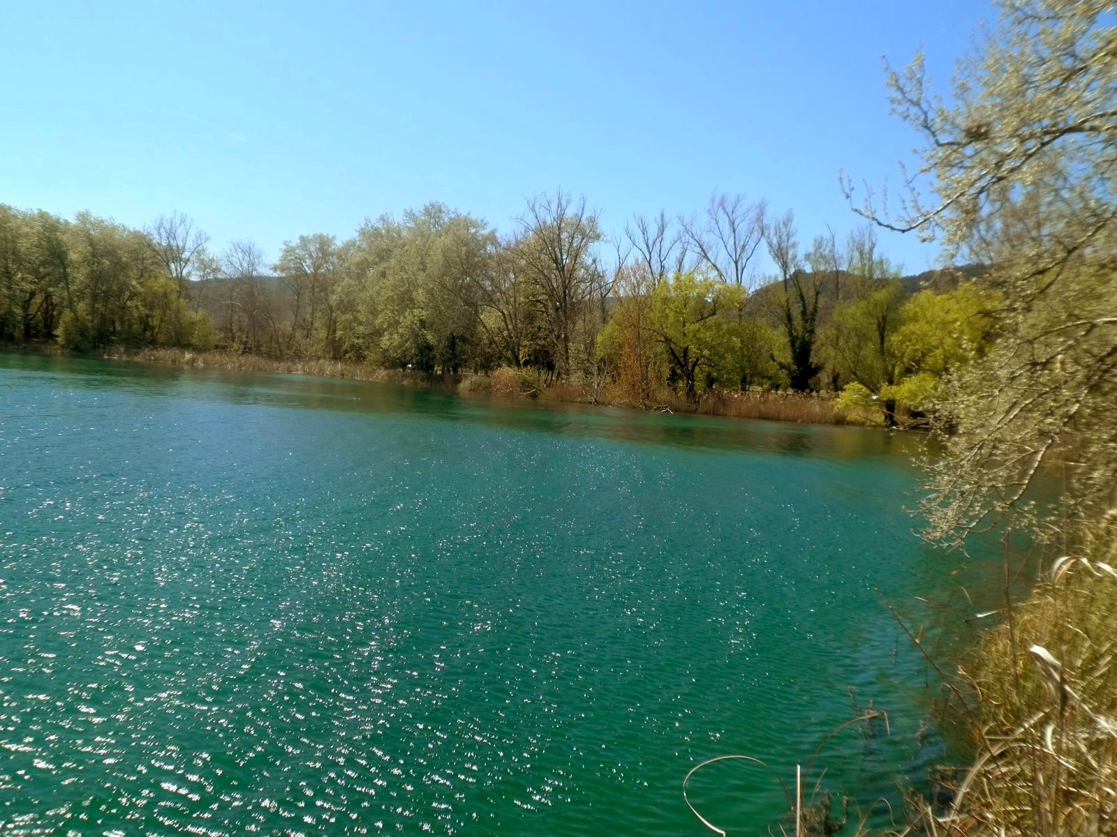 NATURA VIVA: L'ESTANY DE BANYOLES
