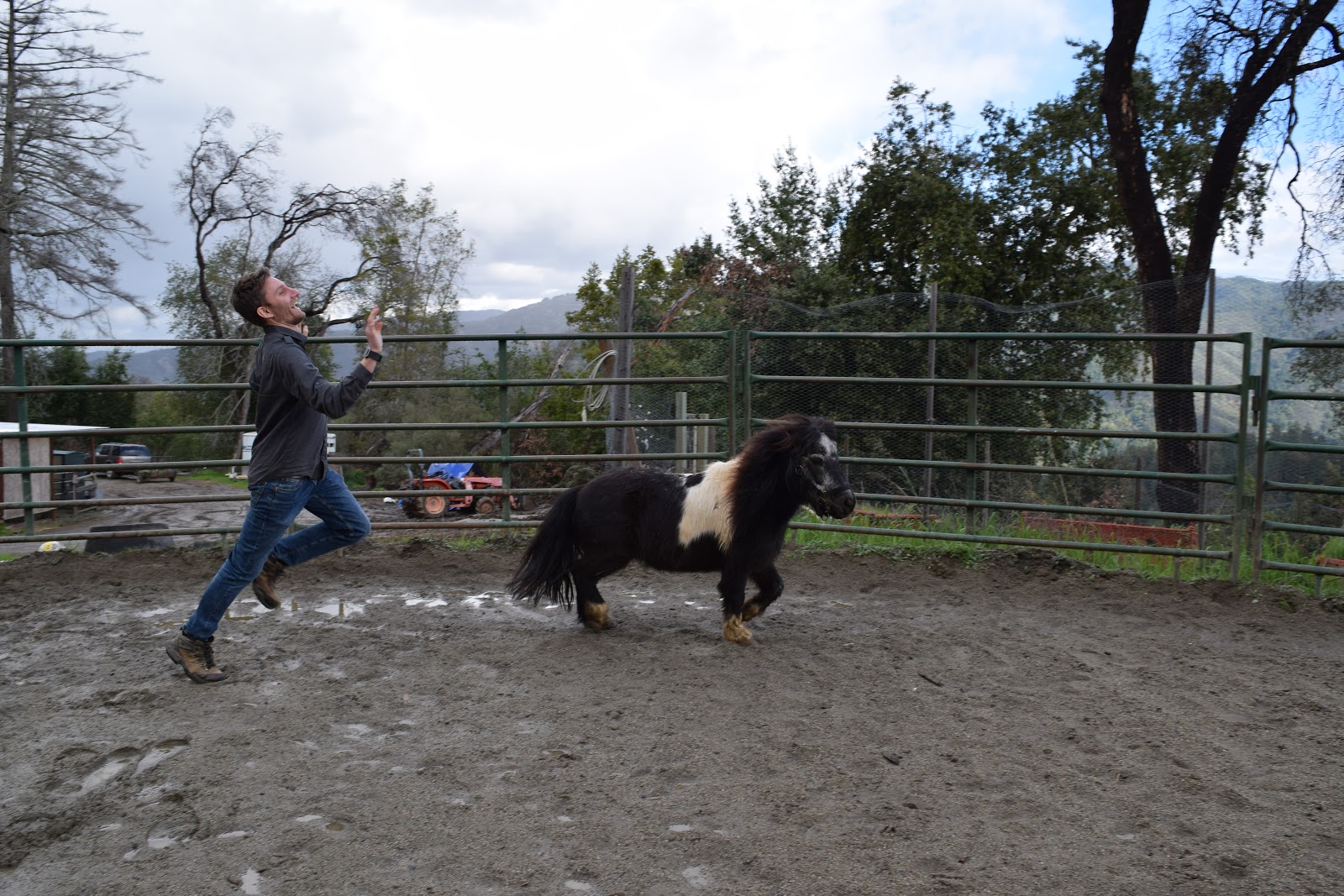 I Ride Horses Good Now: Official Blogger Meetup #7 - Prancing with Ponies