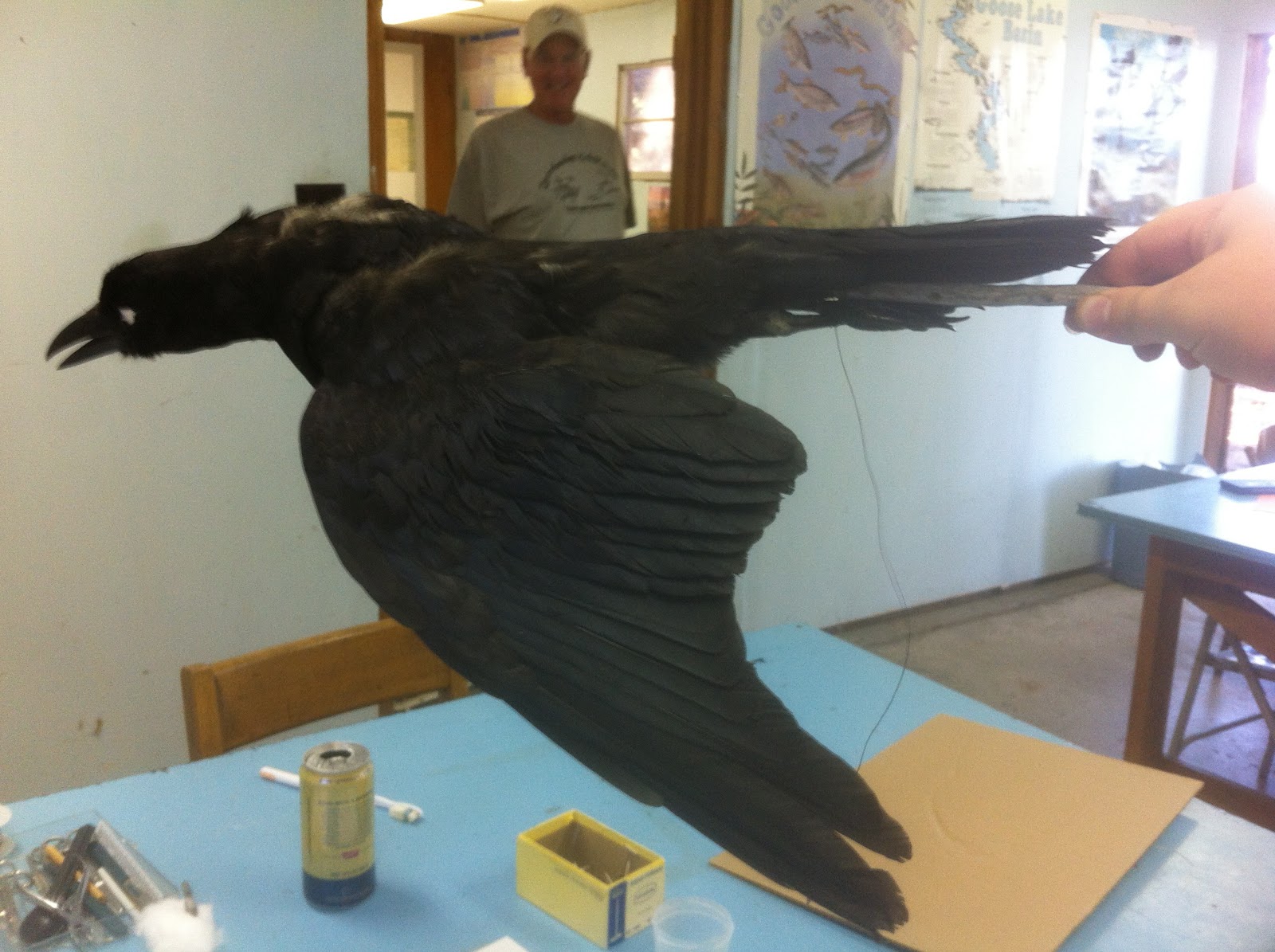 Graveyard Rat: Sam Black Crow or Adventures in Taxidermy
