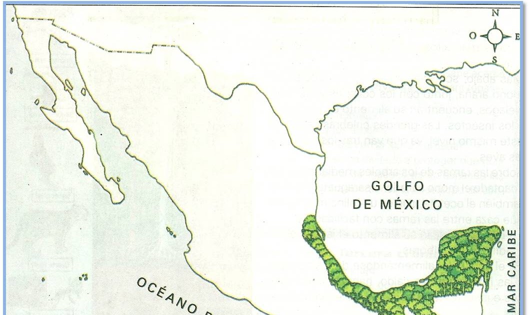 Geografía de México: 2.1 La Selva Húmeda y la Selva Seca