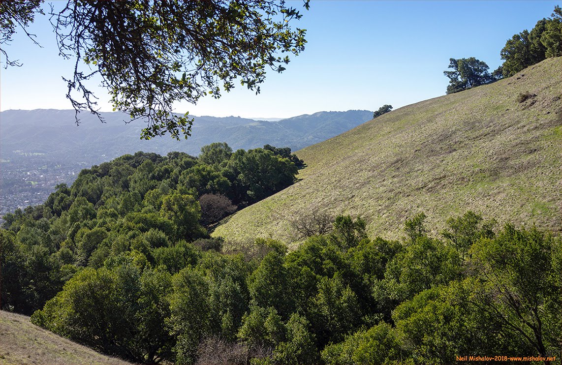 San Francisco Bay Area Photo Blog: Novato – A ramble from San Marin ...