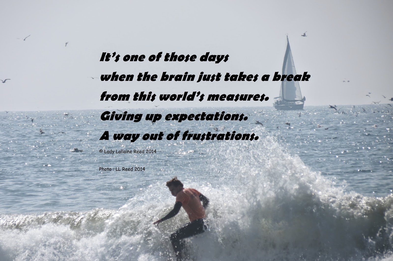 Lady Lallaine Reed's Positive