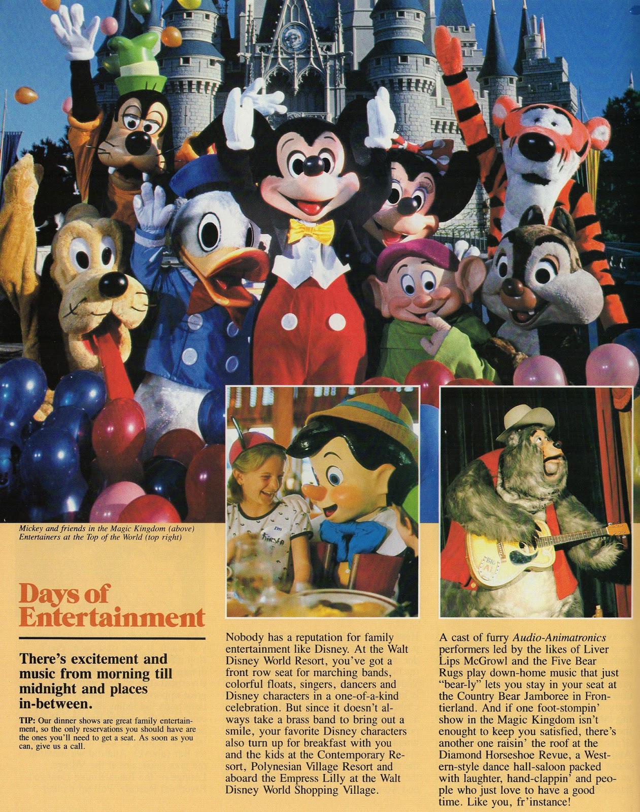 Disney Avenue: Walt Disney World's 1986 Resort Offerings