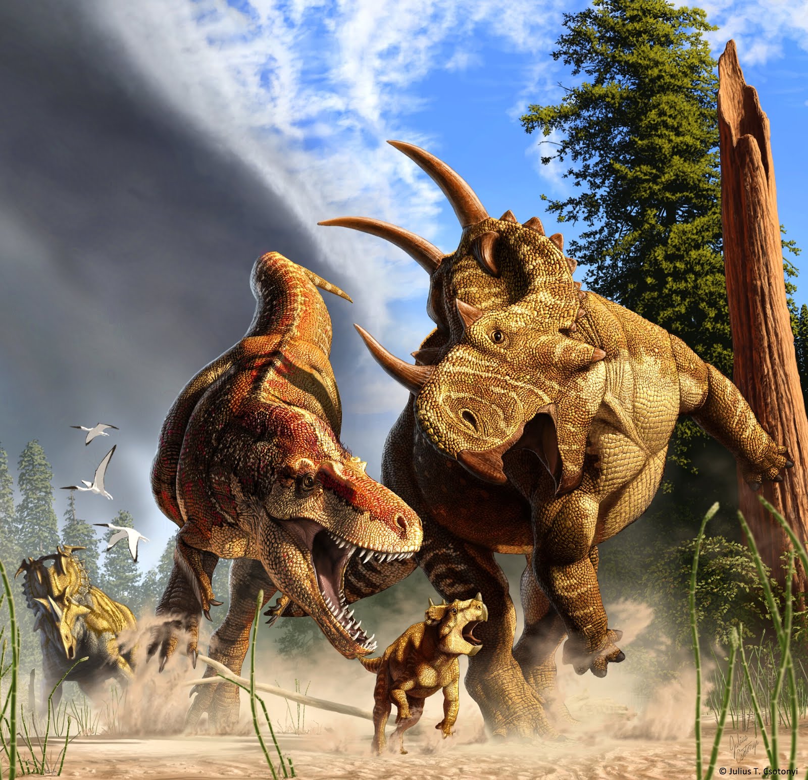 Species New to Science: [Paleontology • 2020] The Fast and the Frugal ...