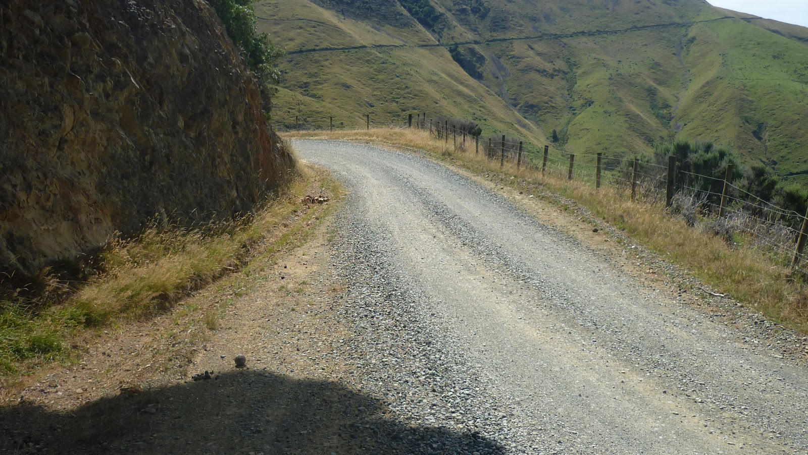 New-Zealand Adventure: Tondre des lamas à Cissy bay