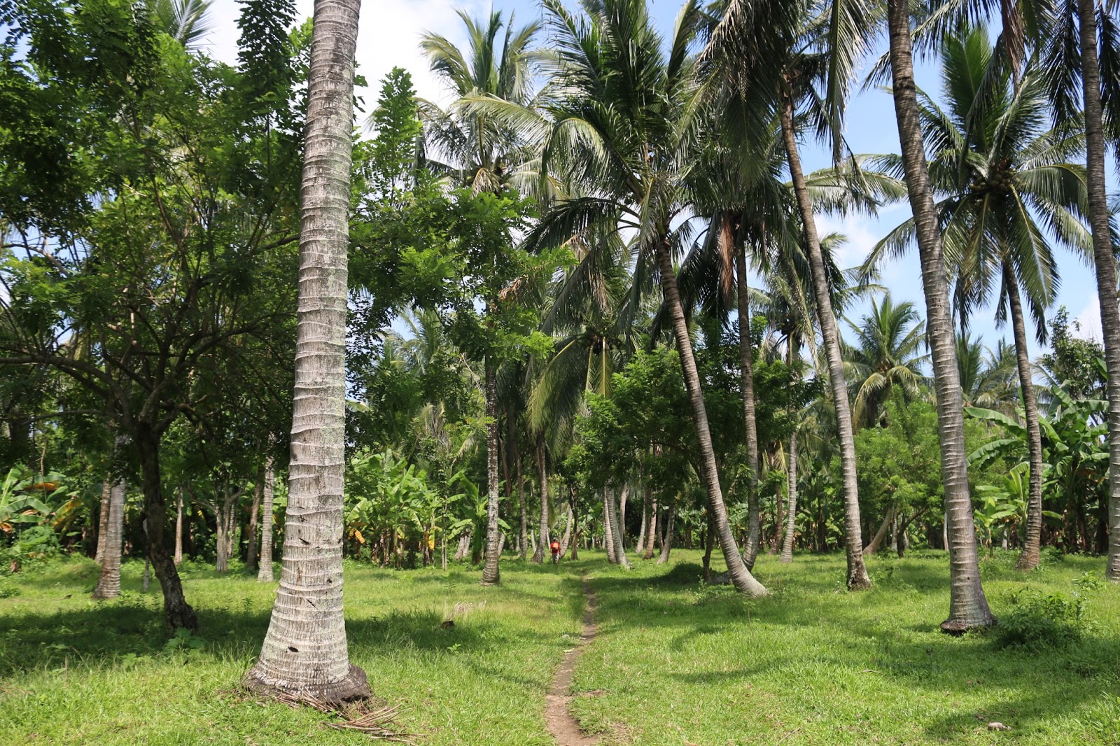 Chronicles: The Lakes of San Pablo City, Laguna – Bunot Lake