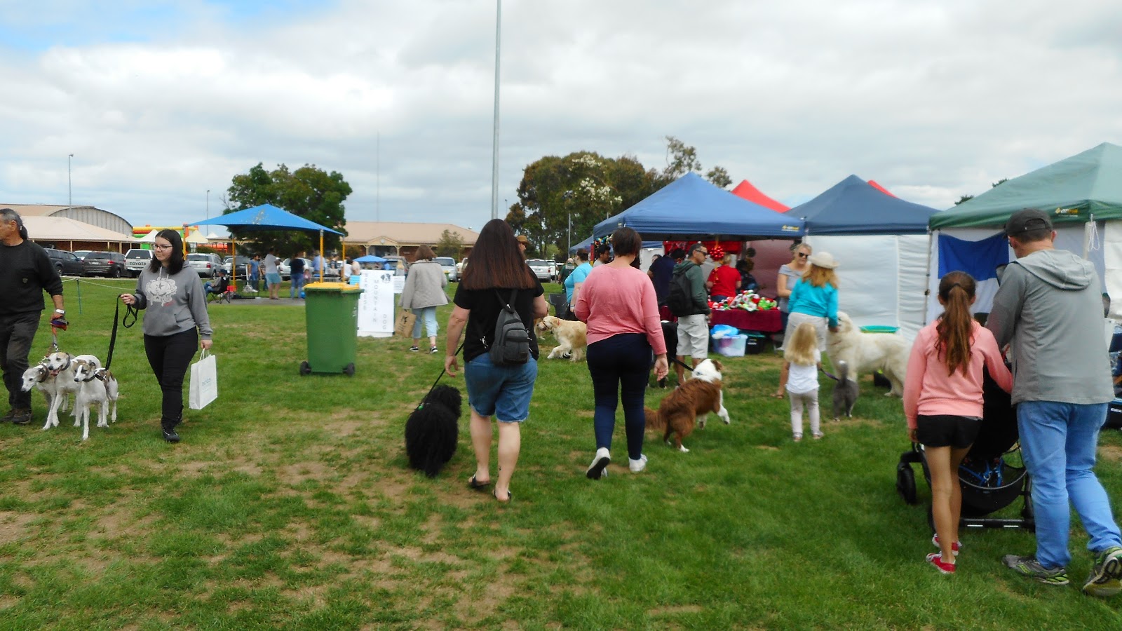 Elido , Melbourne blog: DOGS FAIR /: FOIRE AUX CHIENS