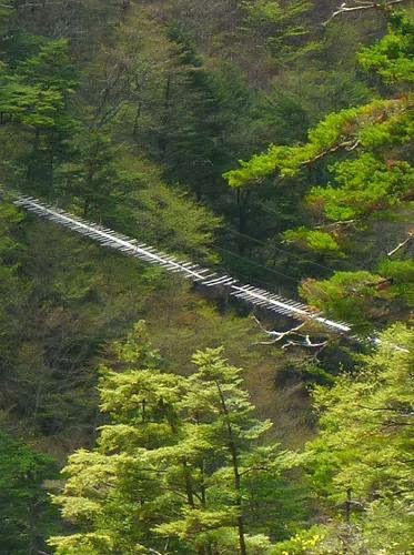 TomoChan Store: Japan’s scariest suspension bridge (Musou suspension ...