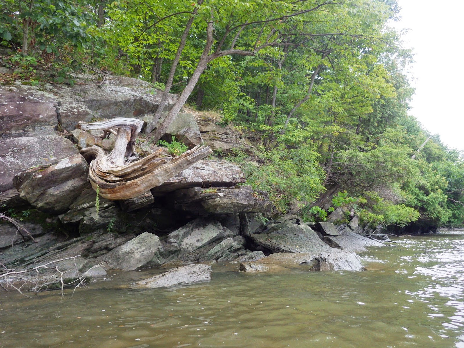 Frogma: Hudson River Paddle Part 8: Day 3 On the River - Tivoli to ...