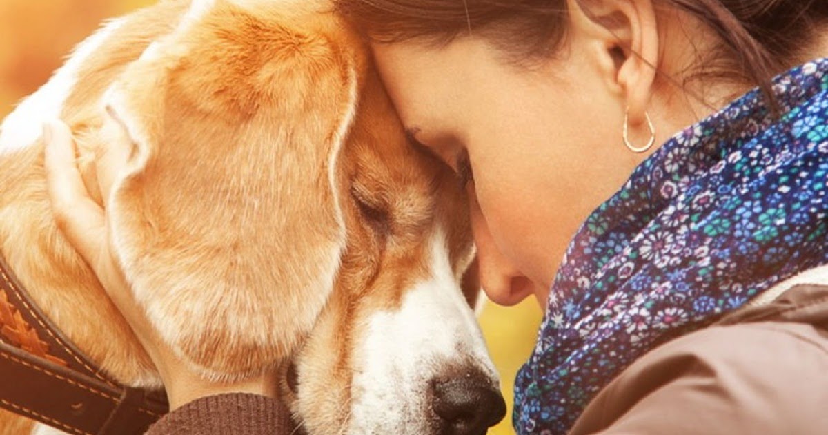 Study suggests that Humans show more empathy for dogs than People ...