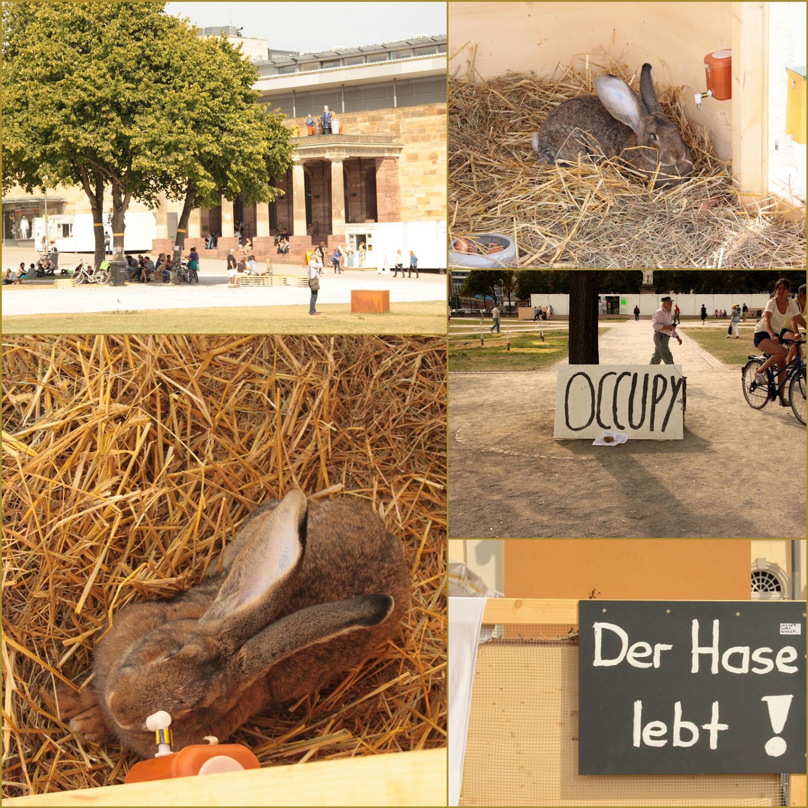 floor 07: documenta 13