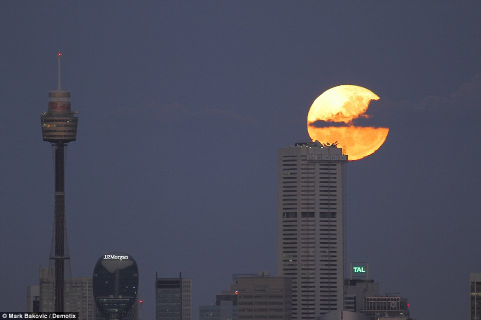 White Wolf : Blood Moon 2015: Stunning Images From Around The World ...