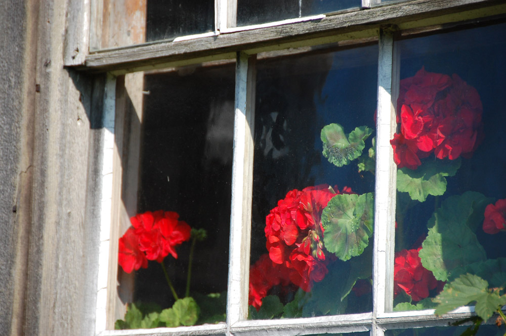 Ronna's Blog: Farnsworth & the Olson House