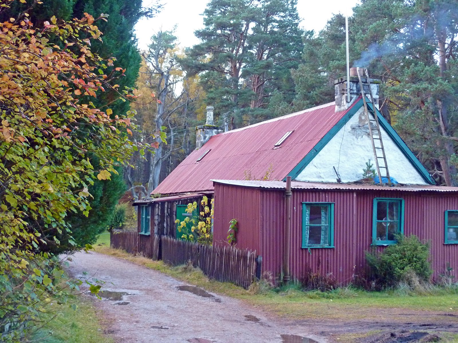 Hills of the North, Rejoice!: Walk in Rothiemurchus - 1