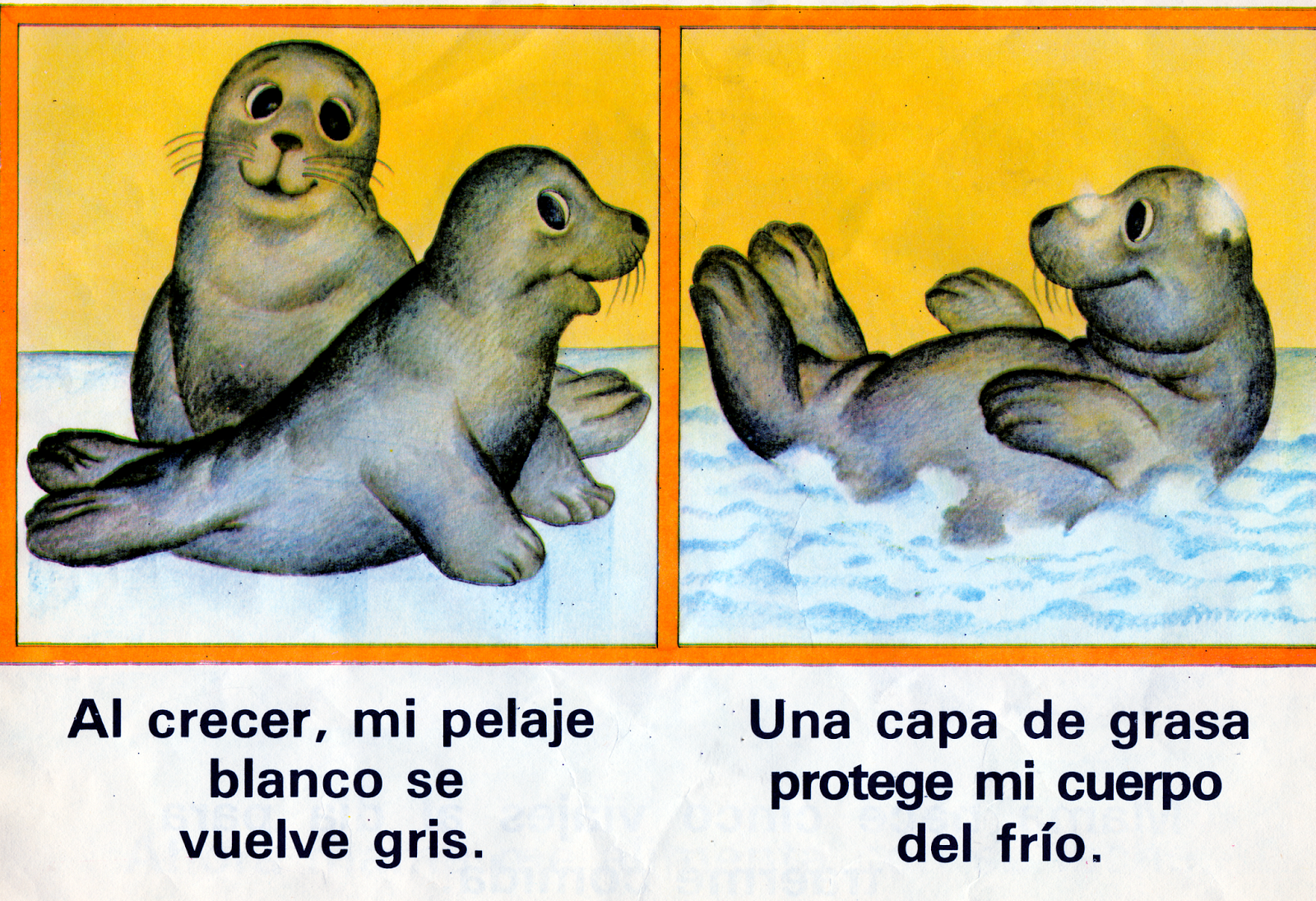 Escuela infantil castillo de Blanca: YO LA FOCA