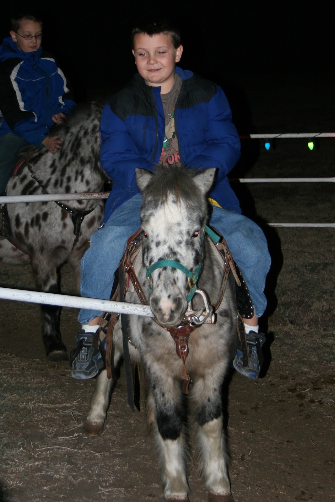 The Logan's: C-Arrow Stables