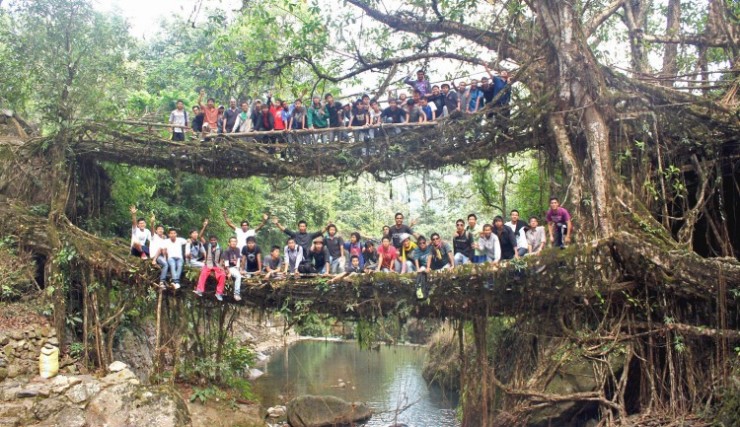 LIVING ROOT BRIDGES