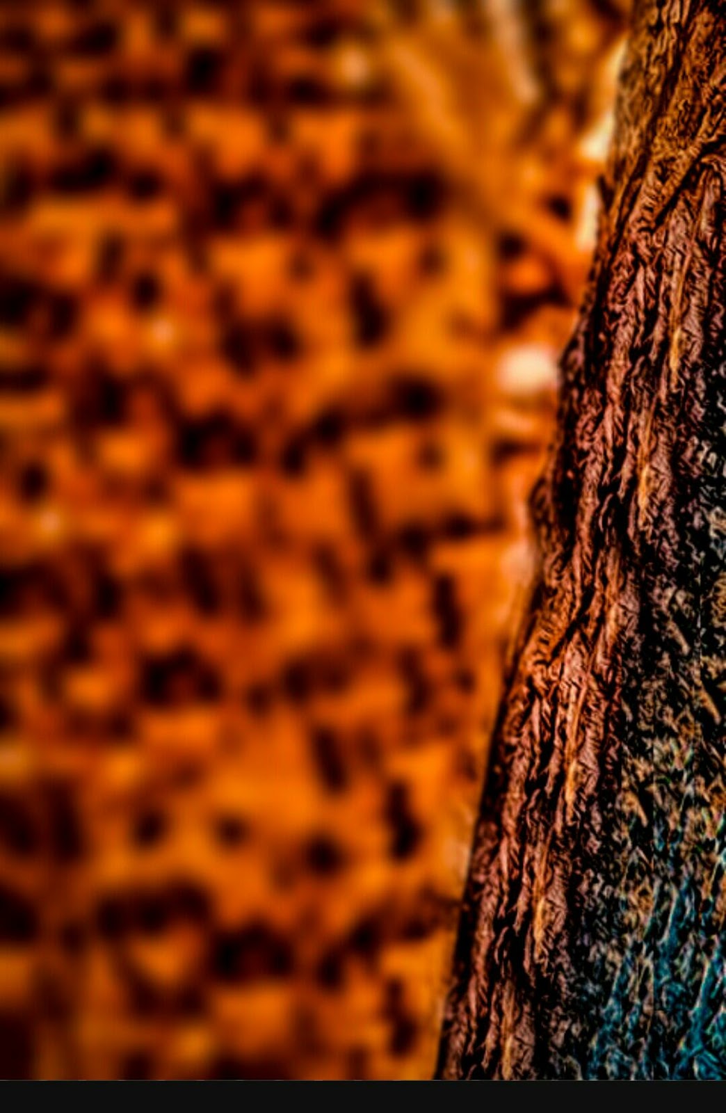 New CB Background Pics | CB Editing Backgrounds | By Abk Creation | cb ...