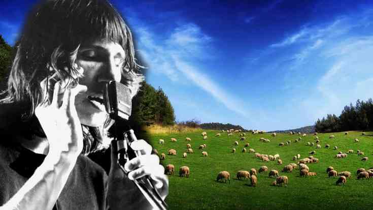 Pink Floyd - Sheep