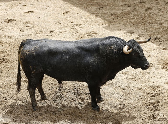 Lascosasdeltoro: "Minervo" abre la undécima de feria en Sevilla.