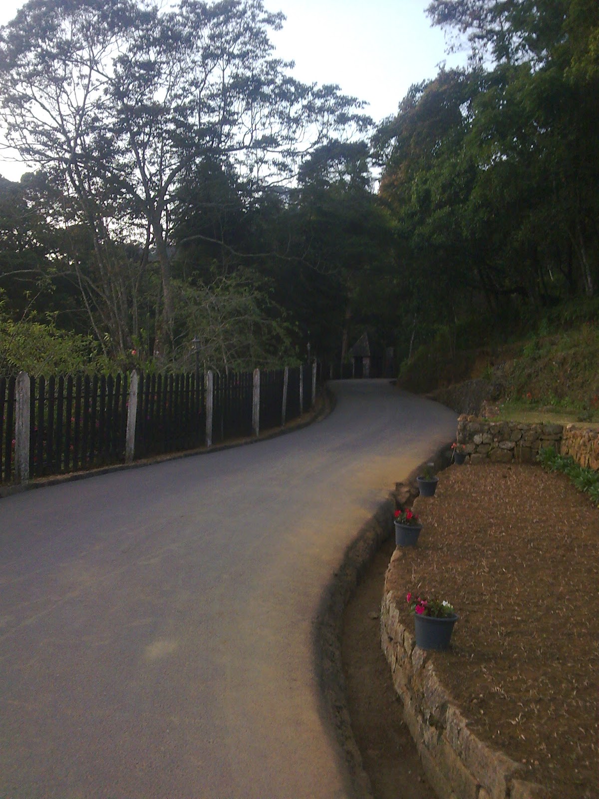 Court Jester: Colombo to Haputale by Rail