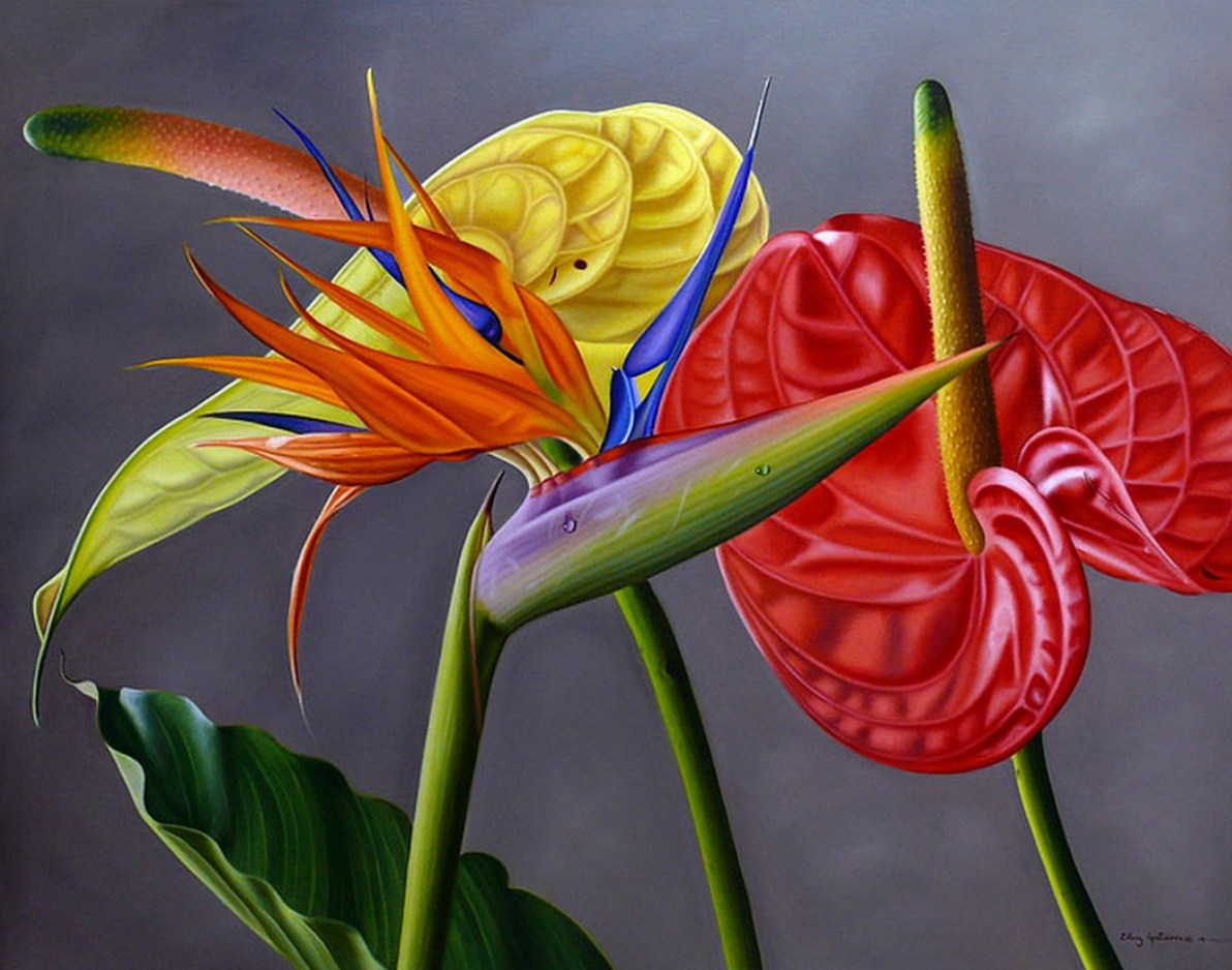 El arte es su máxima expresión : Cuadros de rosas pintadas al óleo