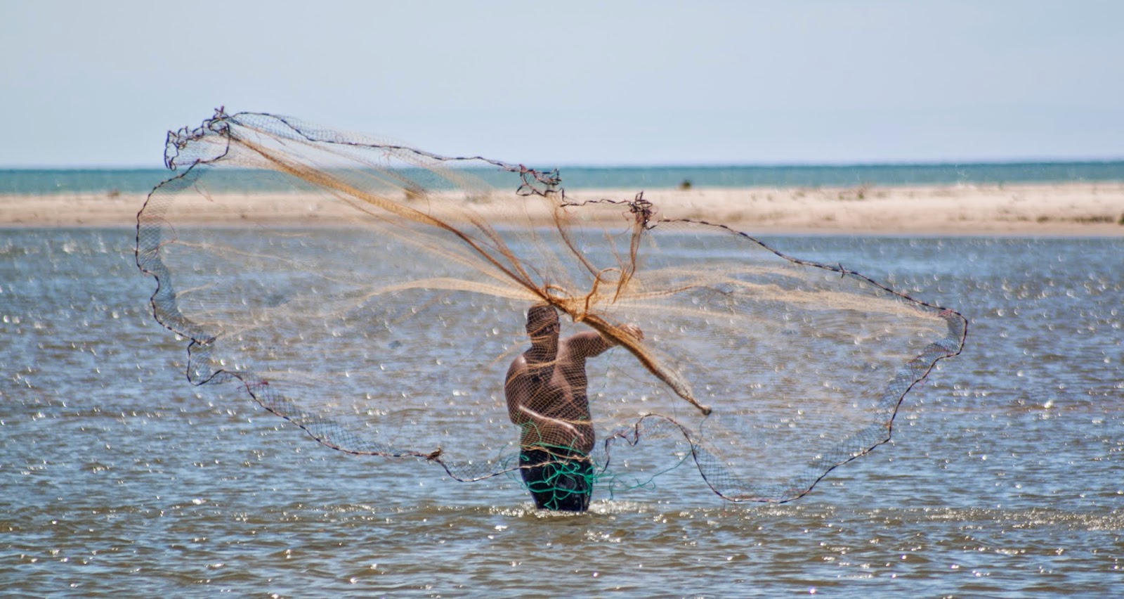 Entre el mar y la Laguna de Tacarigua hay un pequeño paraiso / Semillas ...