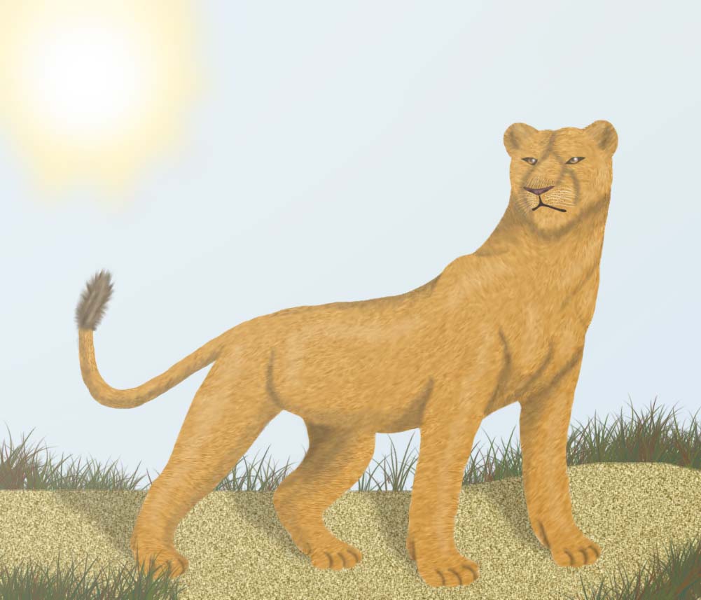 Critter Cafe Artworks: African Lioness